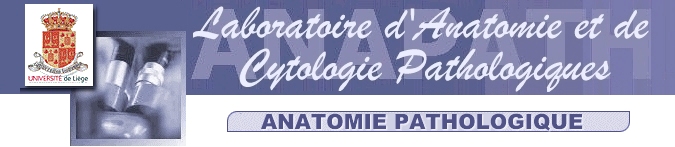 Page d'accueil Laboratoire d'anatomie et Cytologie Pathologiques (ULg)))
